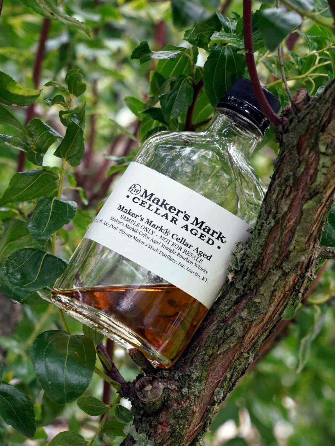 9 Of The Best Cheap Bourbons Under $30 [In Depth Guide] The Whiskey Shelf