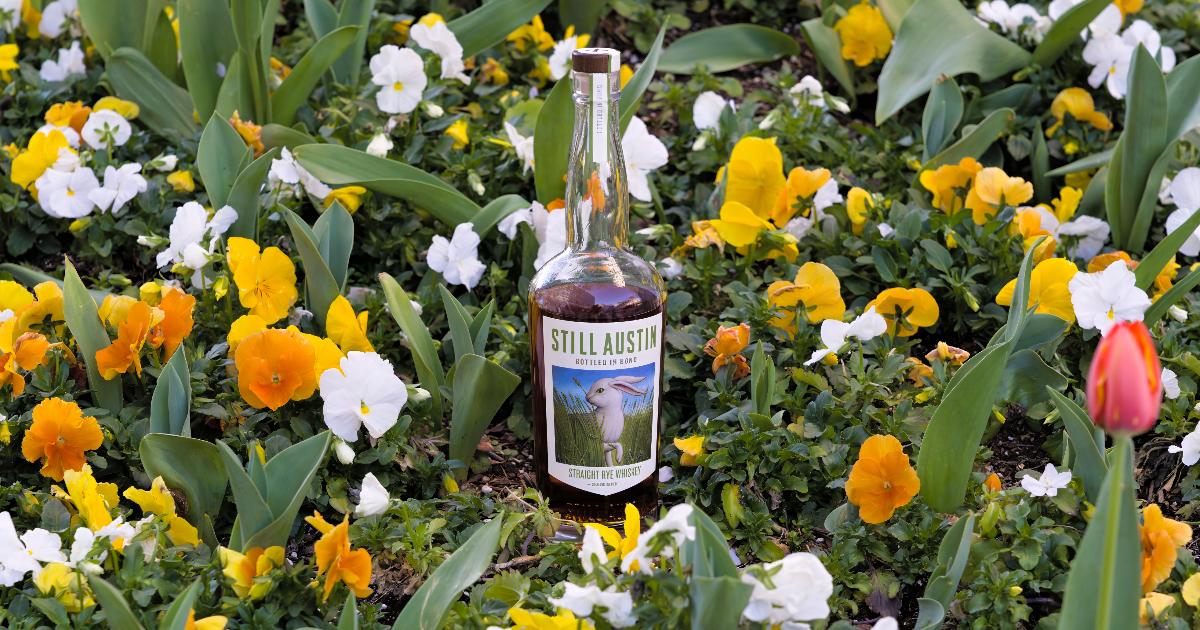 Still Austin Bottled In Bond Rye Review [In Depth] The Whiskey Shelf