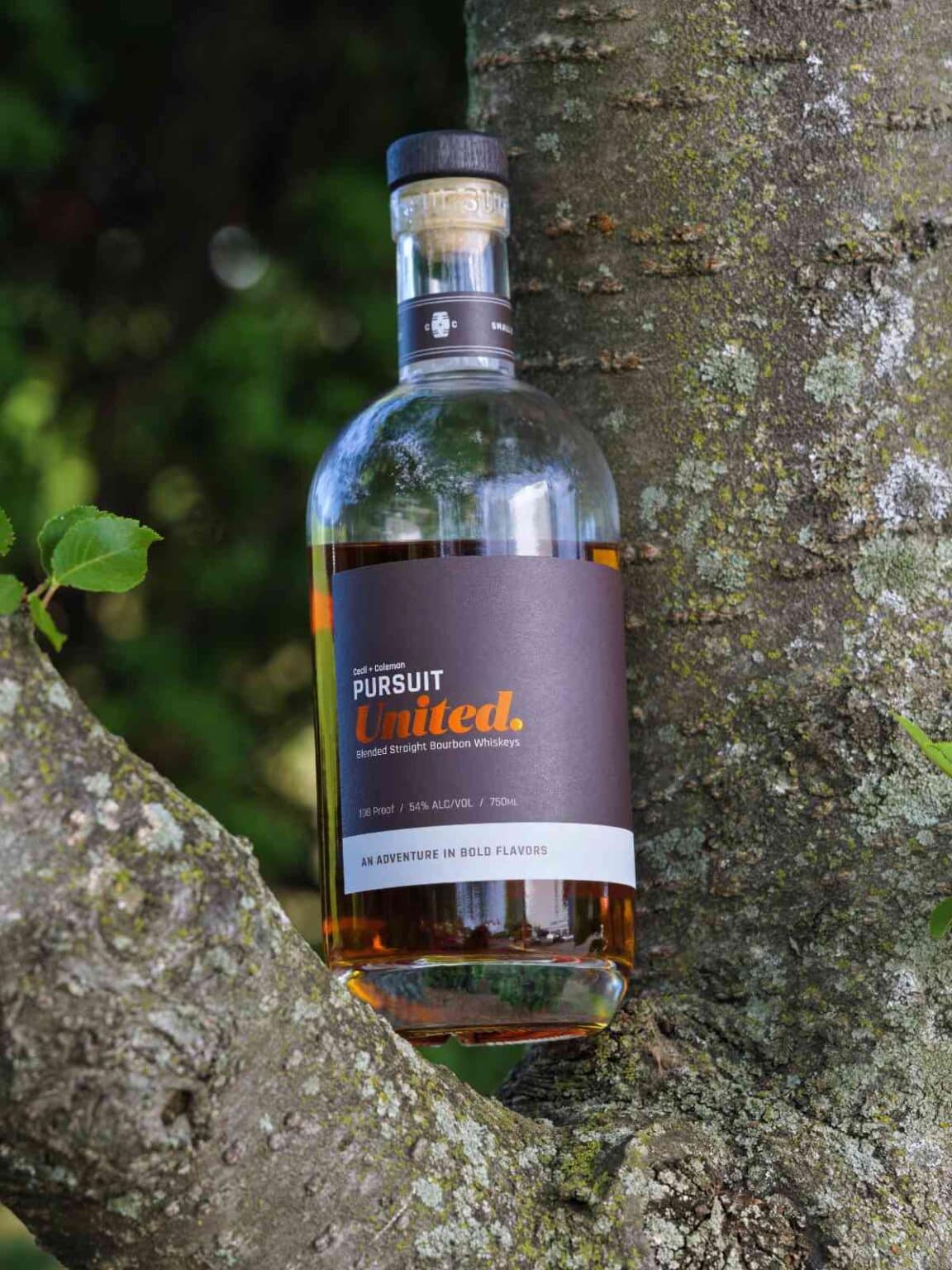 9 Of The Best Cheap Bourbons Under $30 [In Depth Guide] The Whiskey Shelf